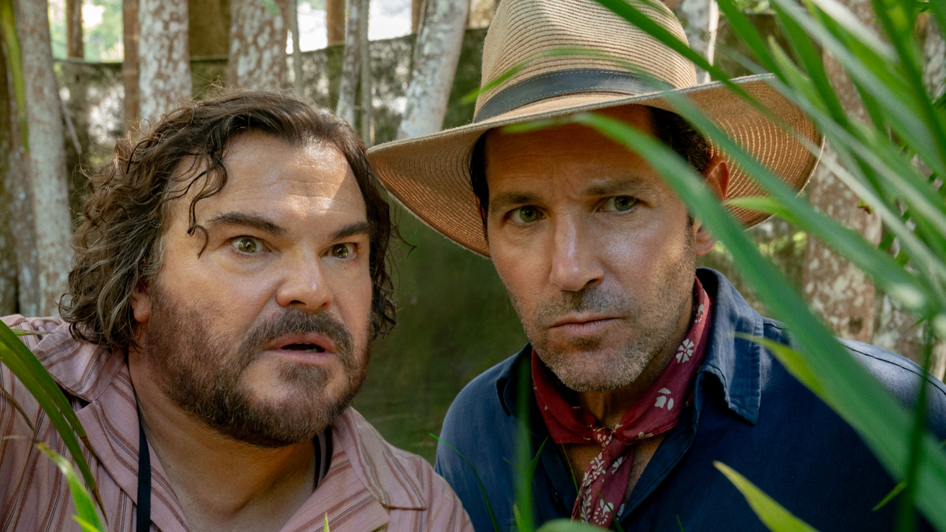 The best fun to have at the movies in Australia this summer