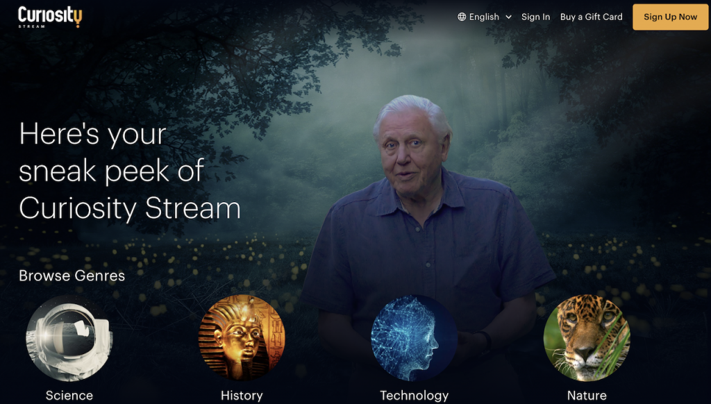 Guide to every streaming platform in New Zealand: costs, pros and cons