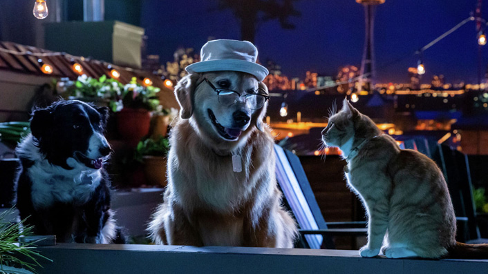 School holiday films playing in NZ cinemas