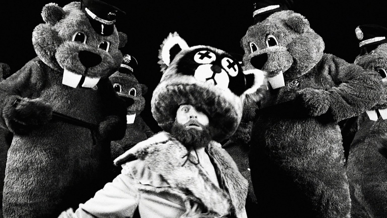 You’ve never seen a film like Hundreds of Beavers